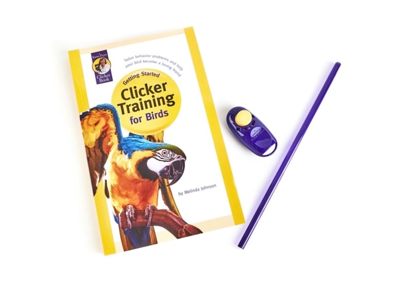 Clicker Training Kit for Birds - Etsy