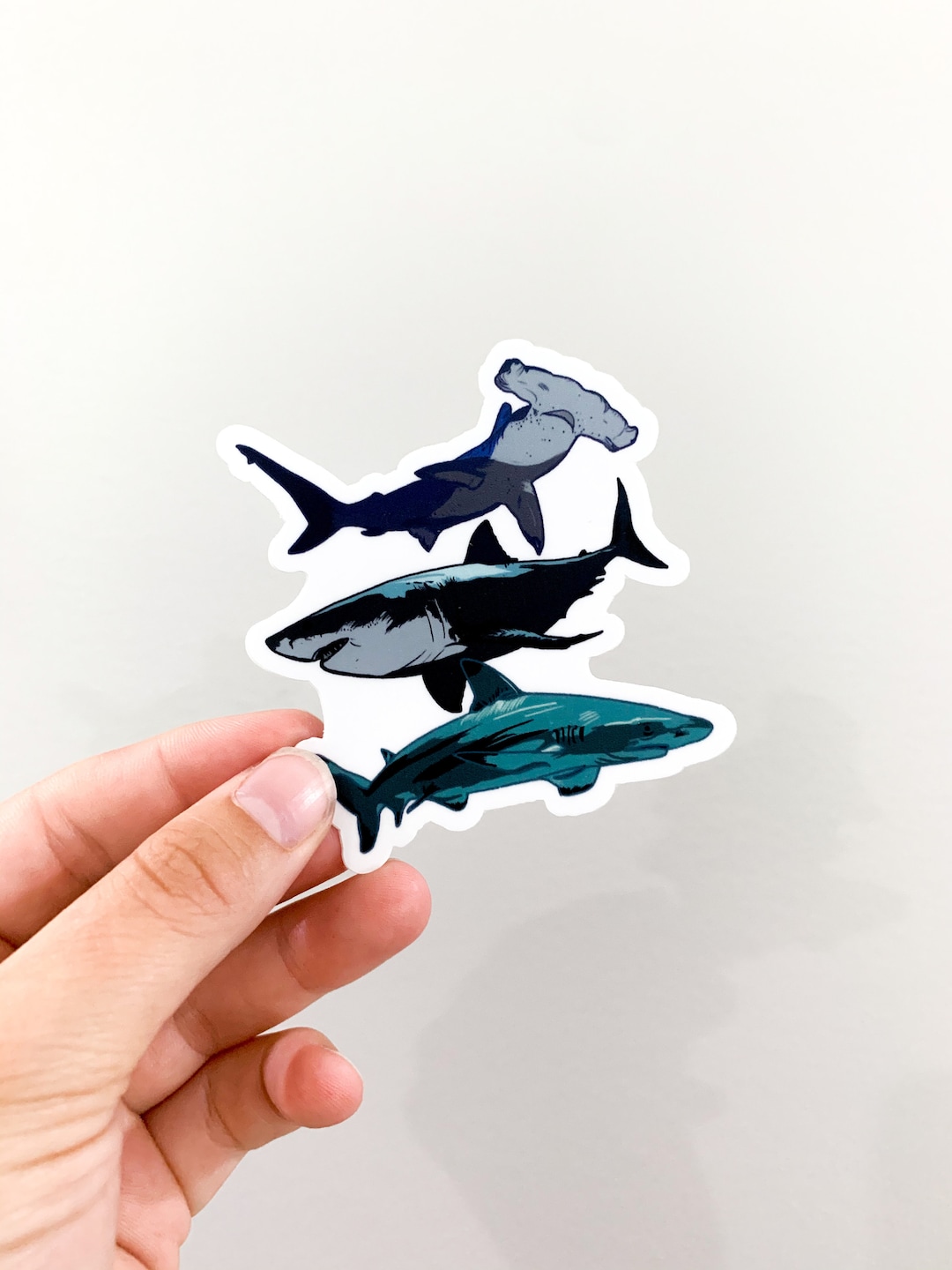 Shark Sticker; Waterproof Vinyl Sticker - Etsy