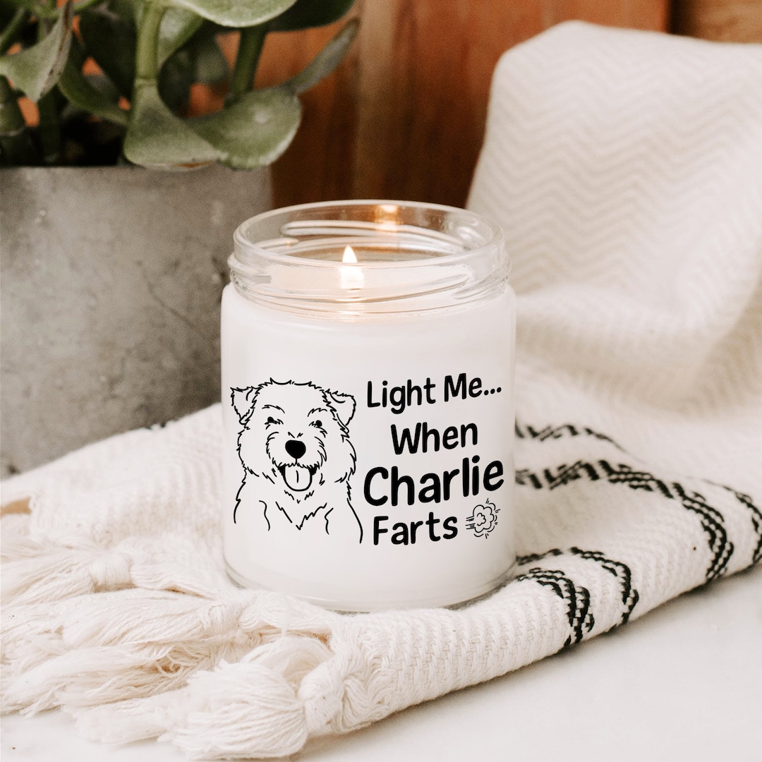 Light Me When the Dog Cat Farts Soy Wax Candle, Funny Birthday ...