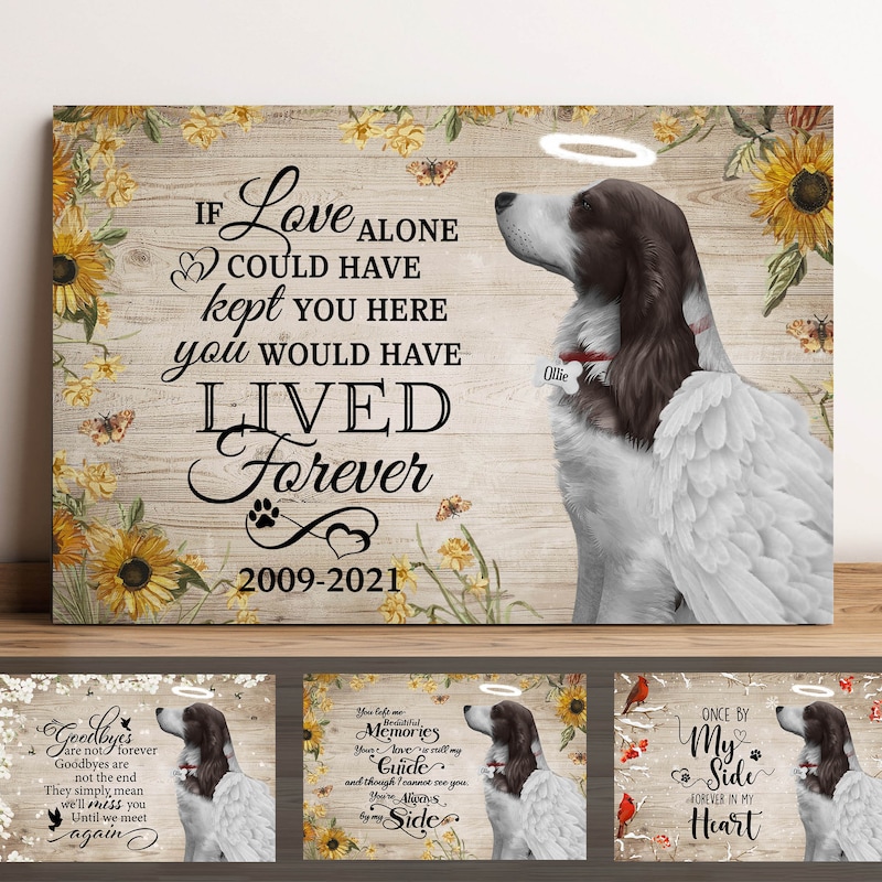 English Springer - Etsy