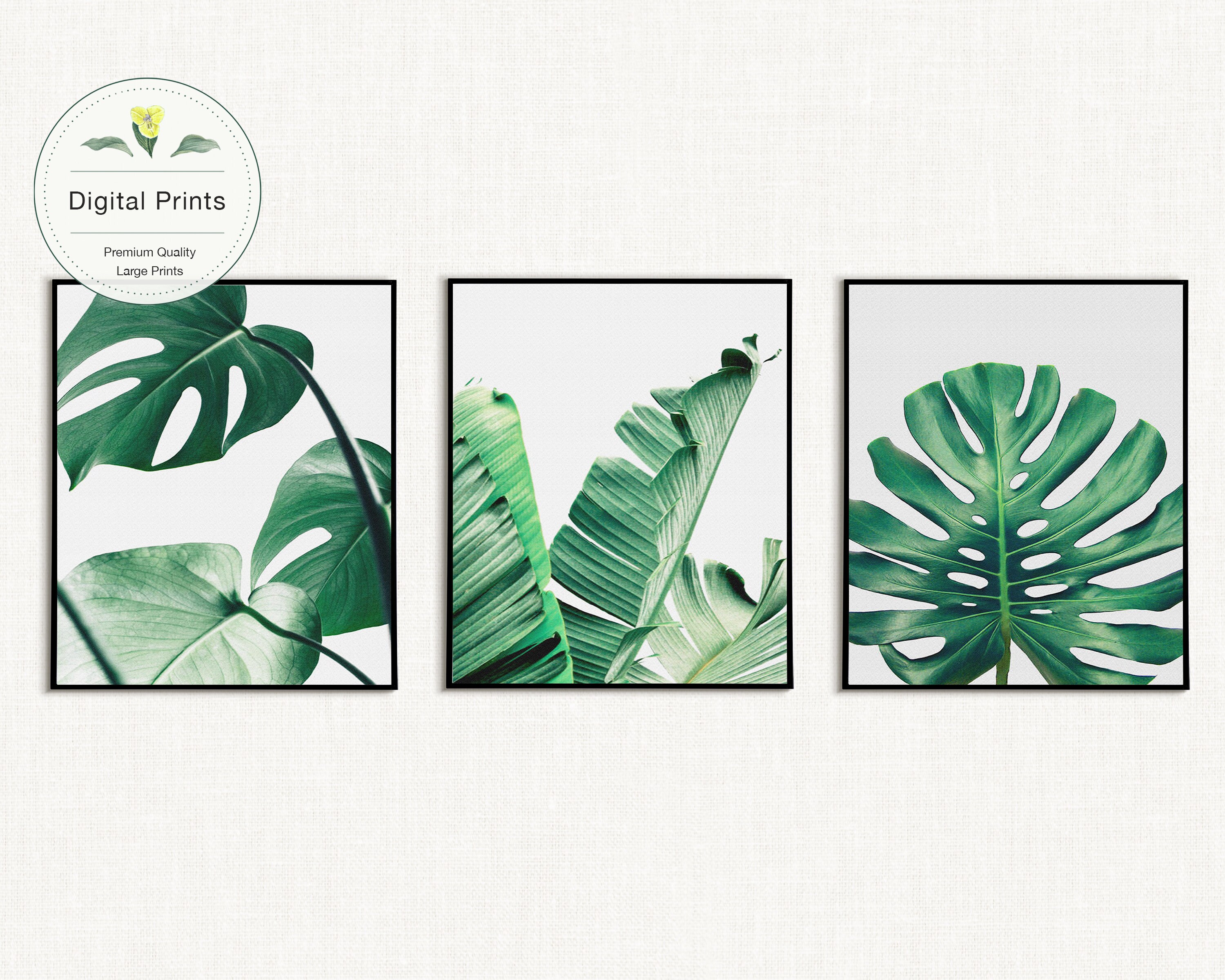 Set of 3 Monstera Leaf Digital Print Botanical Print Floral - Etsy