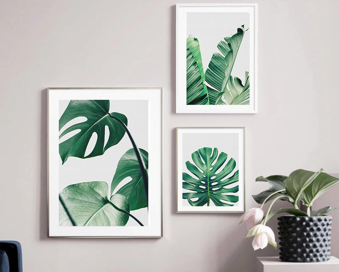 Set of 3 Monstera Leaf Digital Print Botanical Print Floral - Etsy