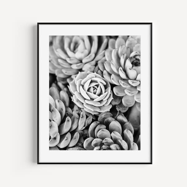 Succulent Wall Art - Shop Online - Etsy
