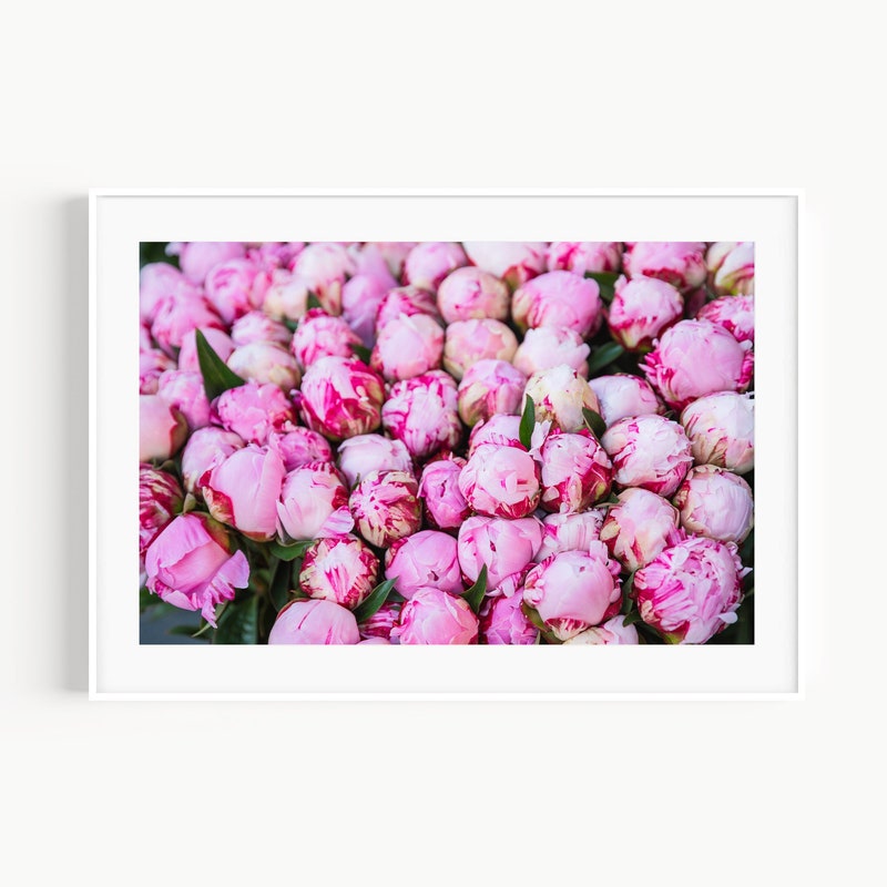 Paris Peonies - Etsy