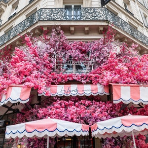 Pink Paris Cafe, La Favorite Parisian Cafe, French Restaurant, Pastel ...
