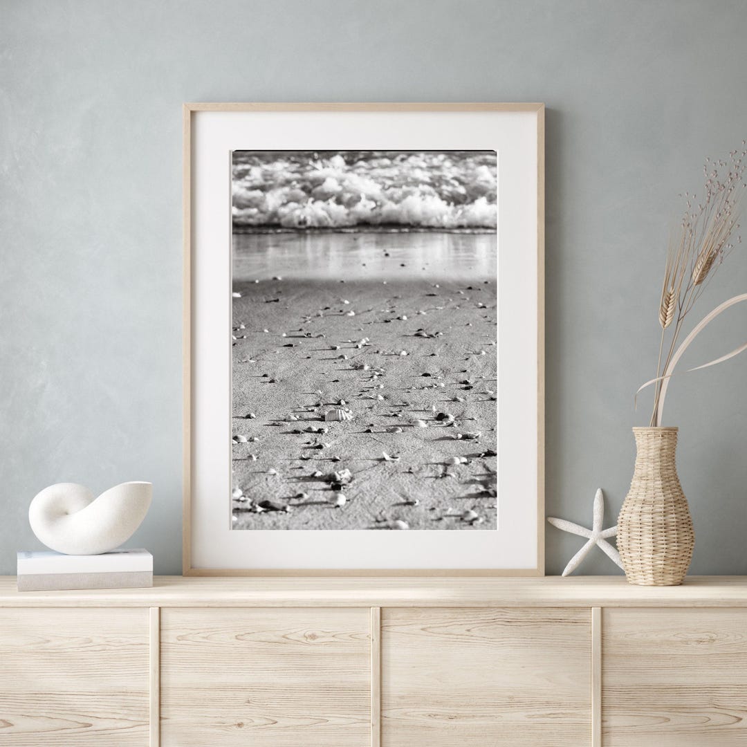 Black and White Beach Print, Seashell Wall Art, Neutral Beach Travel ...