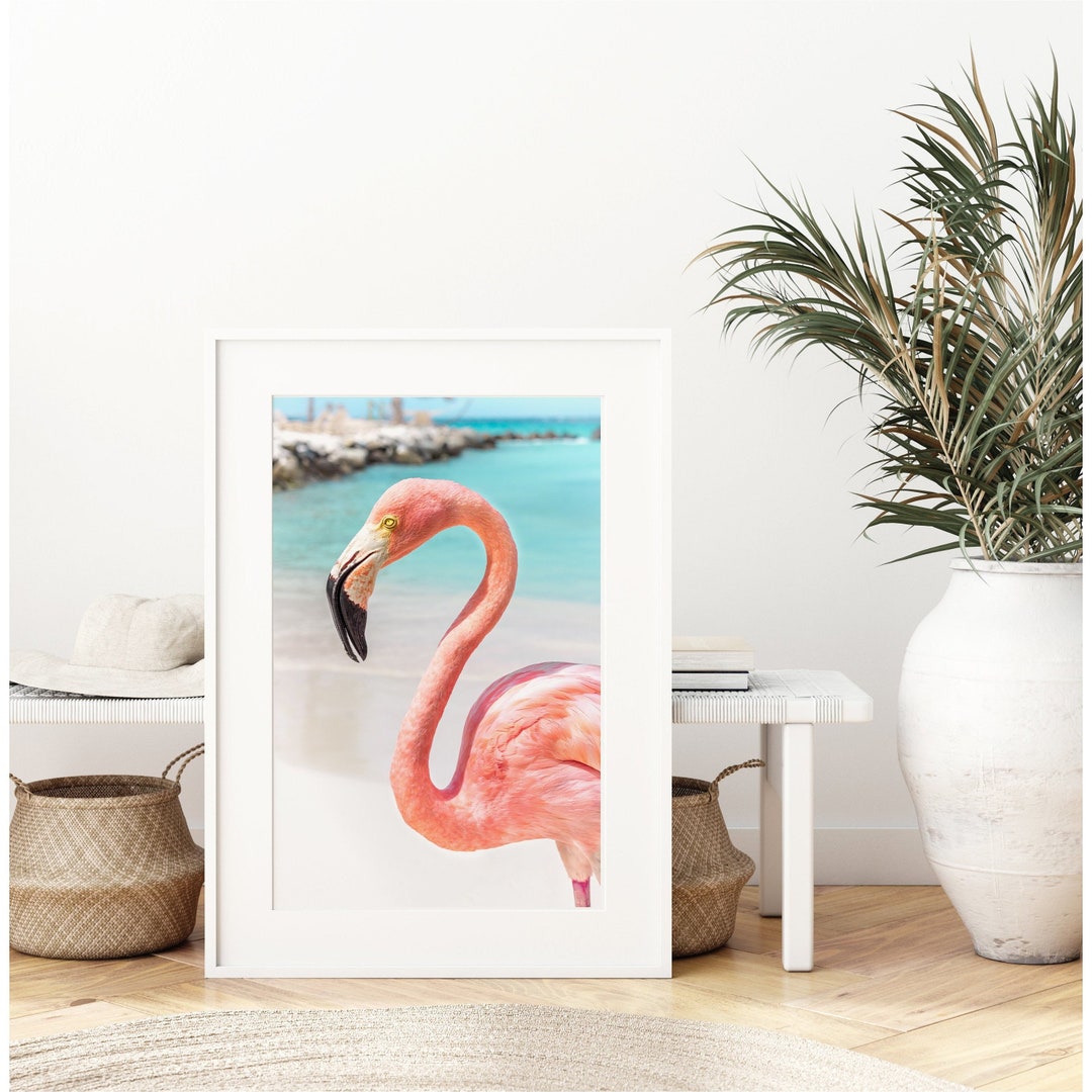 Pink Flamingo Poster, Aruba Photography, Flamingo Wall Art Prints ...
