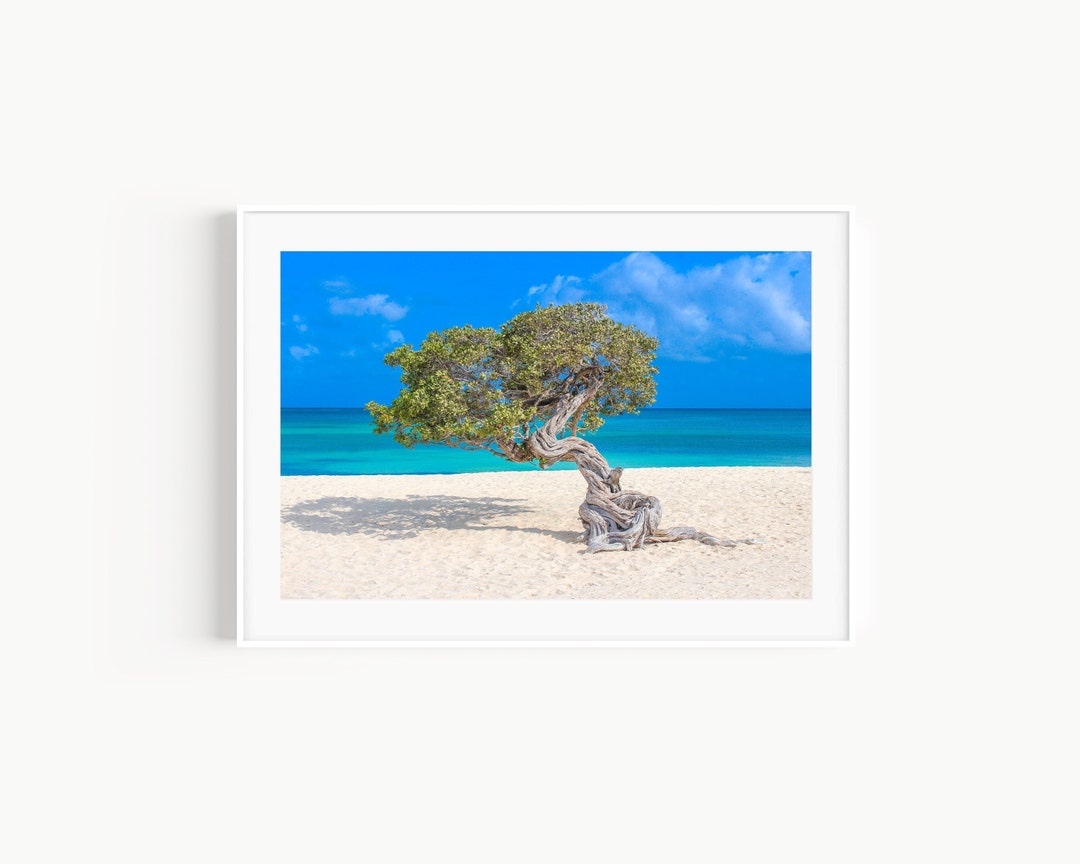 Eagle Beach Aruba Photography, Beach Wall Art, Aruba Gift, Coastal Wall ...