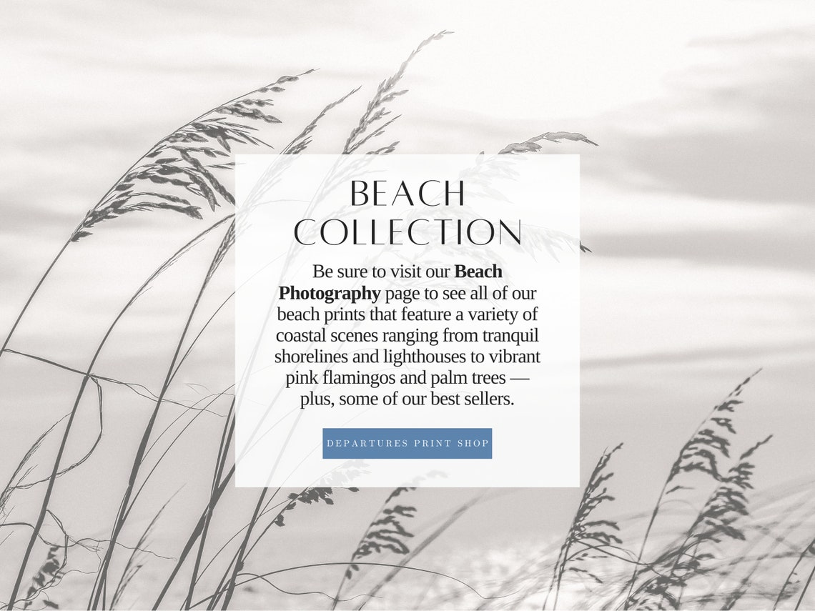 Seagrass Beach Print Sea Oats Photo Coastal Wall Decor | Etsy