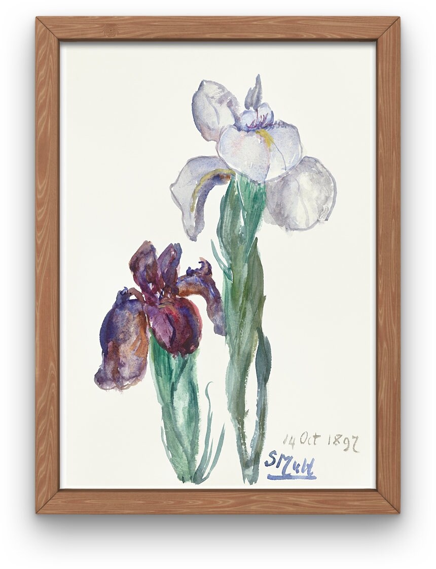 2 Set of Floral Poster Digital Download Art Print Printable - Etsy