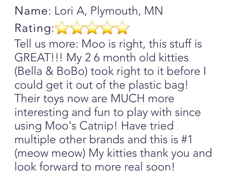 Big Moo's Organic Ground Catnip All Natural Organic - Etsy