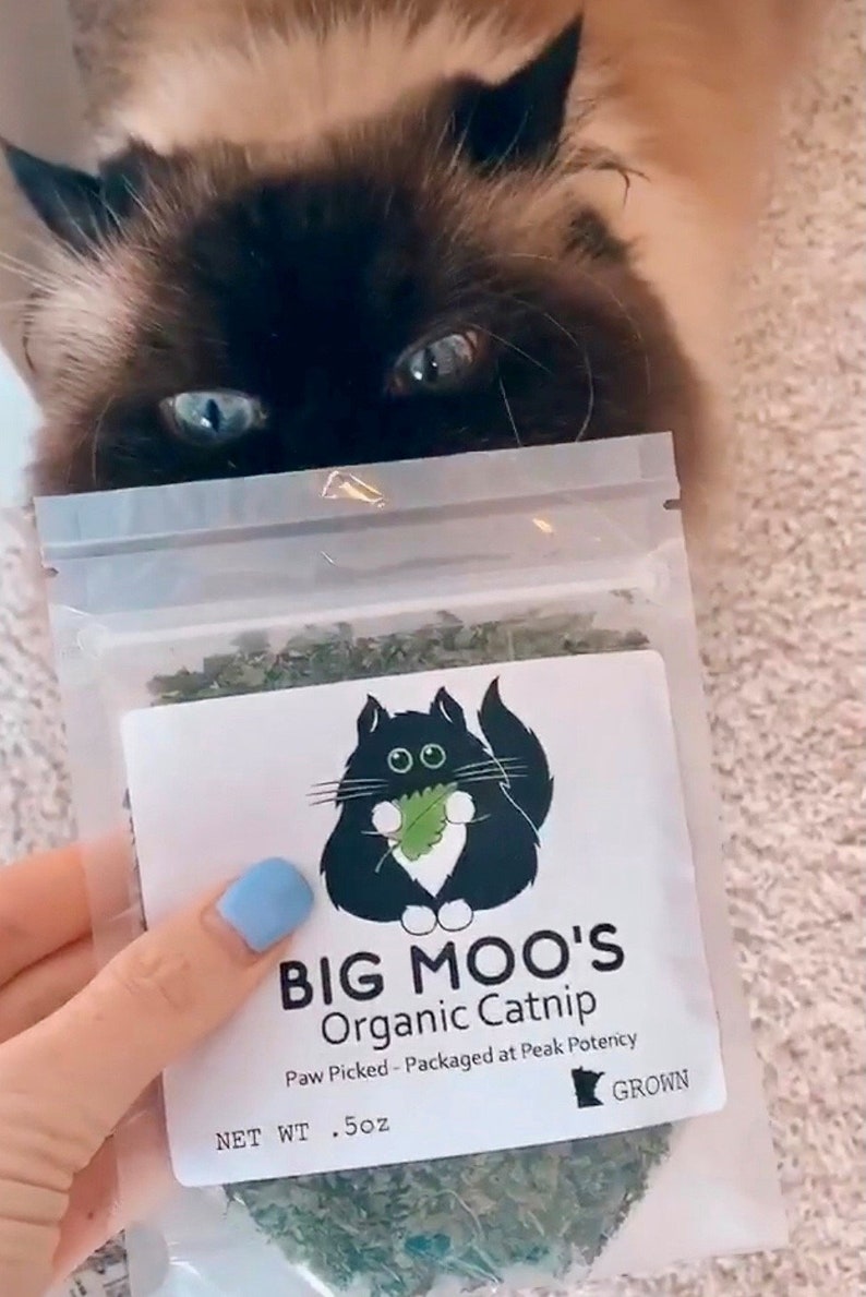 Big Moo's Organic Ground Catnip All Natural Organic - Etsy