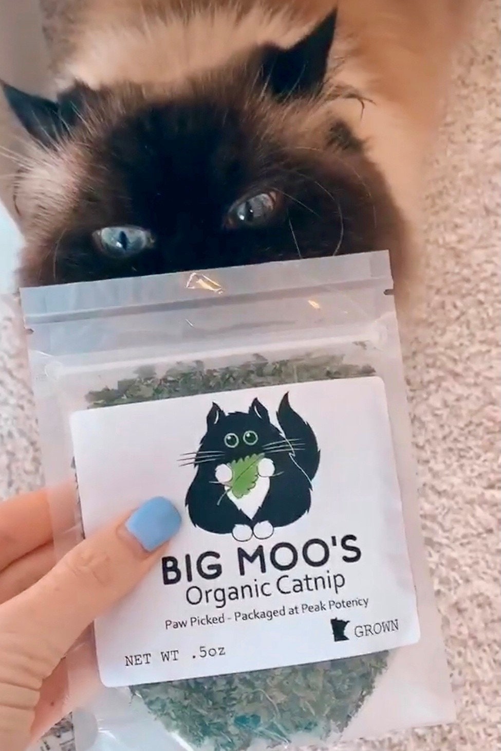 Big Moo's Organic Ground Catnip All Natural Organic - Etsy