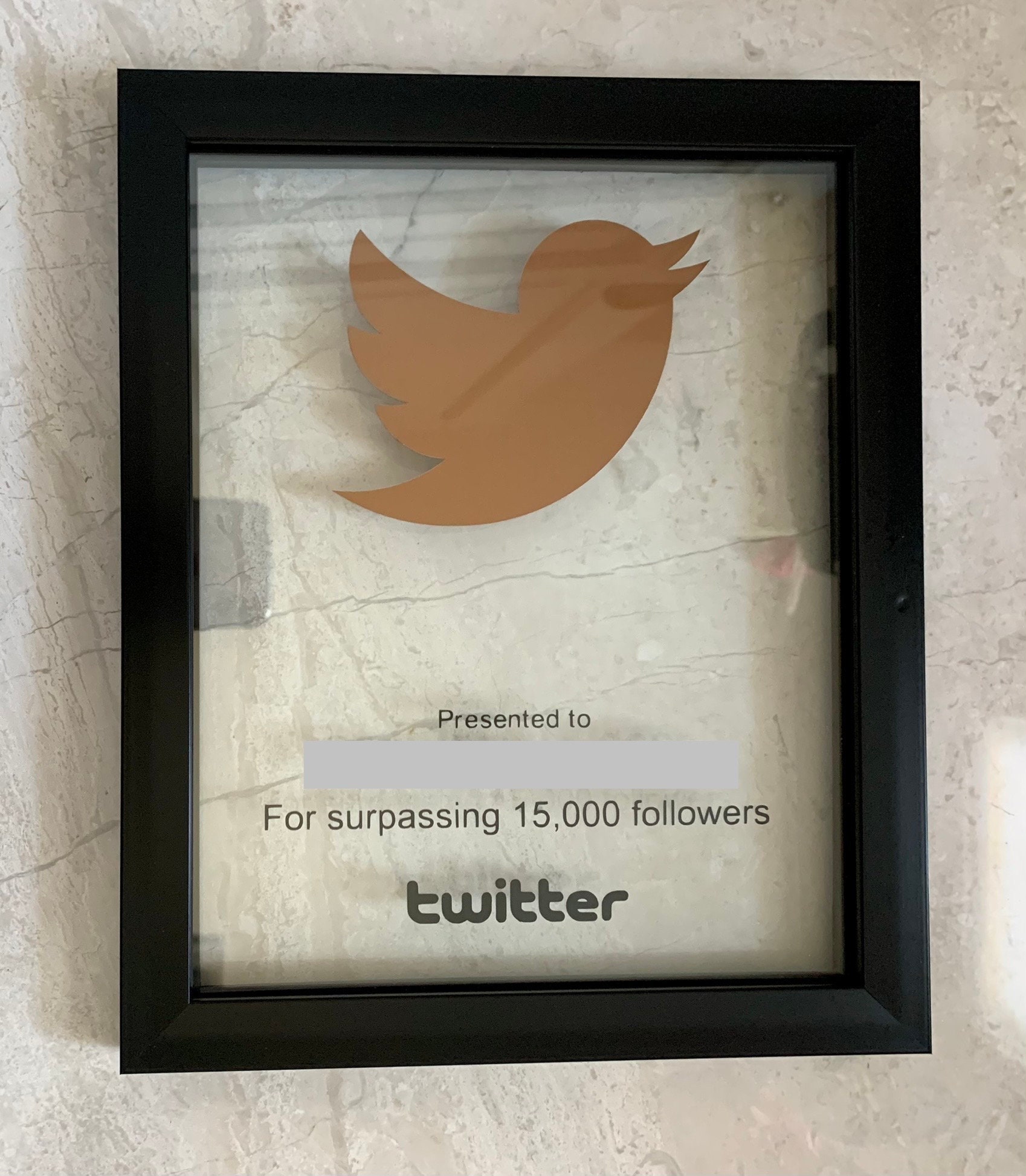 Custom Awards Tiktok, Instagram, Spotify, Twitch, Twitter 8x10 Framed ...