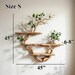 Rustic Tree Branch Bookshelf Wall Mounted Natural Driftwood Floating ...