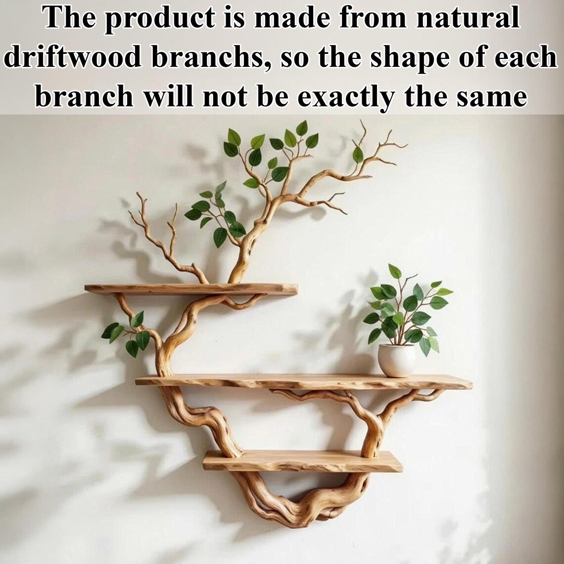 Rustic Tree Branch Bookshelf Wall Mounted Natural Driftwood Floating ...