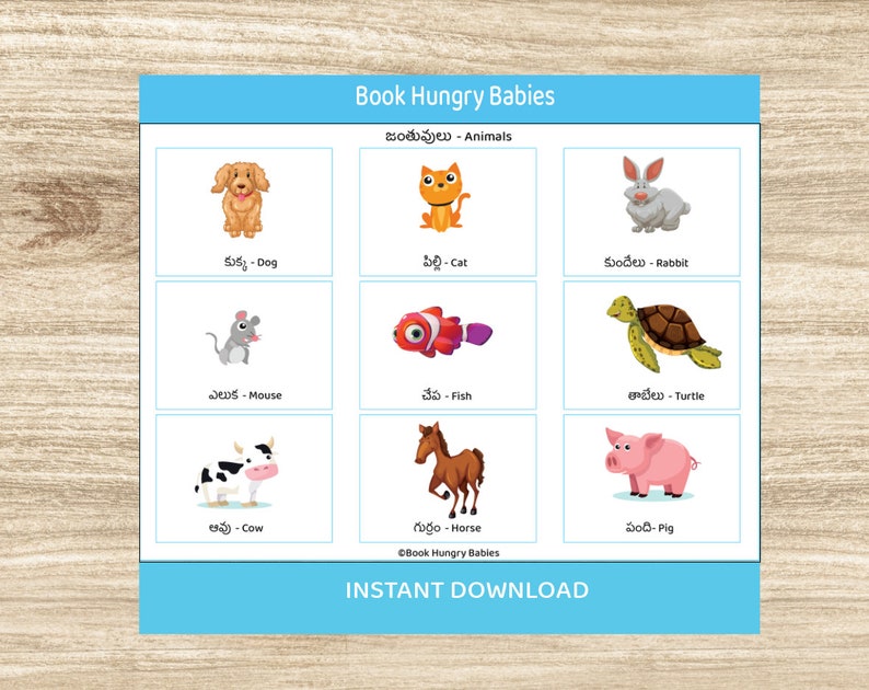 Printable Telugu Learning Binder: Alphabet, Numbers, Colors (PDF) - Etsy
