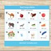 Printable Punjabi Learning Binder, Teach Punjabi Kids, Toddler Learning ...
