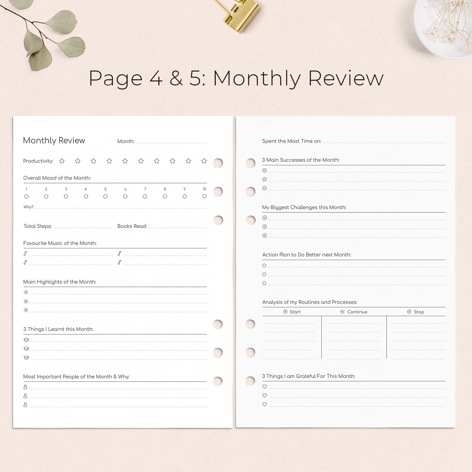 Review Bundle Daily Reflection Weekly Review Monthly - Etsy