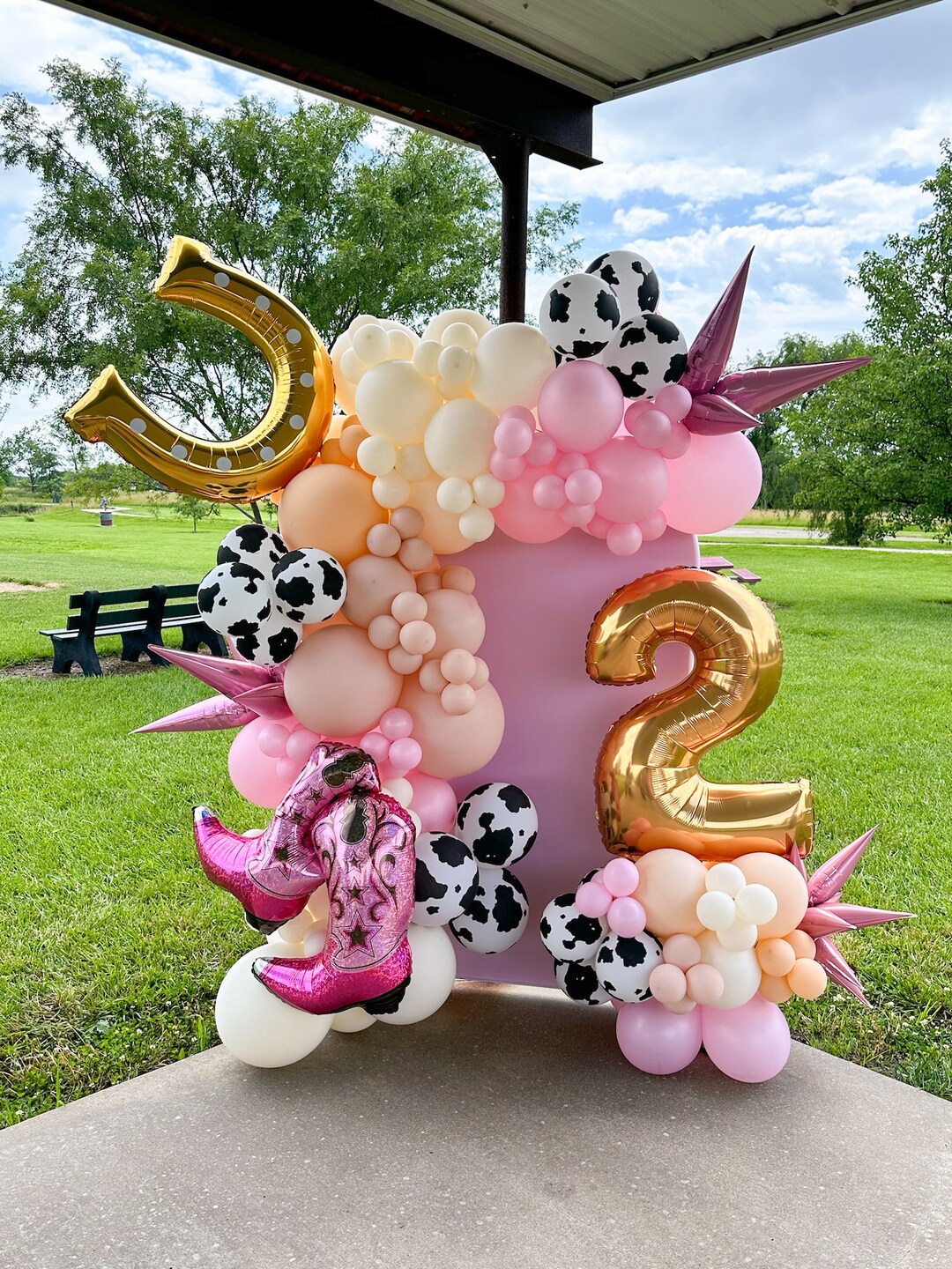 DIY Pink Balloon Garland Kit Not My First Rodeo Birthday Balloon Arch ...