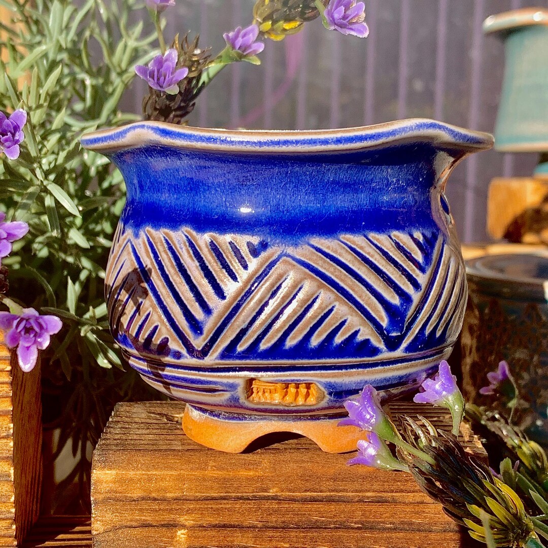 乌卅WASA Professional Succulent Pot/all Hand-drawn Embryo, Hand-carved ...