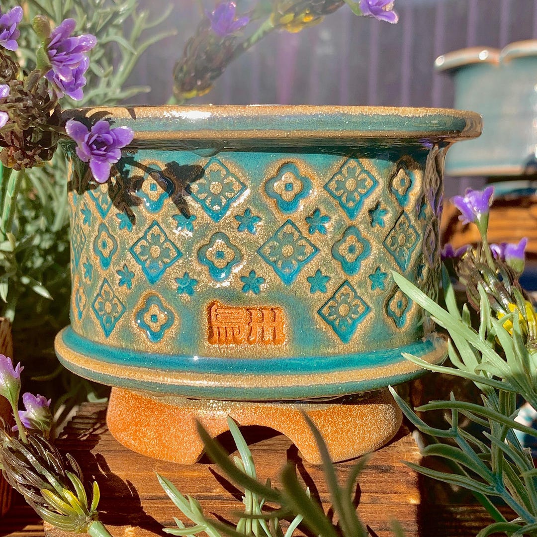 乌卅WASA Professional Succulent Pot/all Hand-drawn Embryo, Hand-carved ...