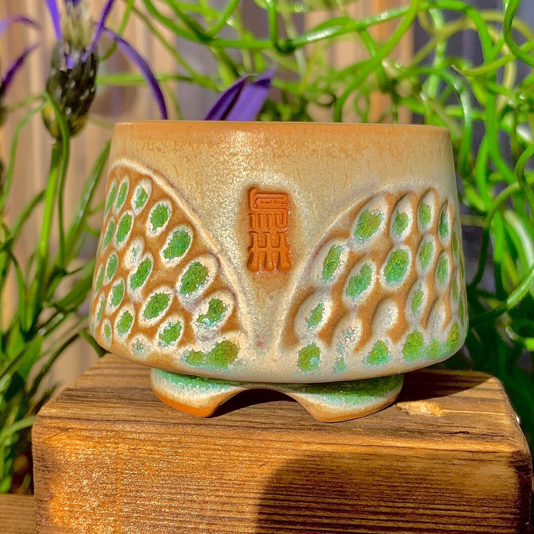 乌卅WASA Professional Succulent Pot/all Hand-drawn Embryo, Hand-carved ...