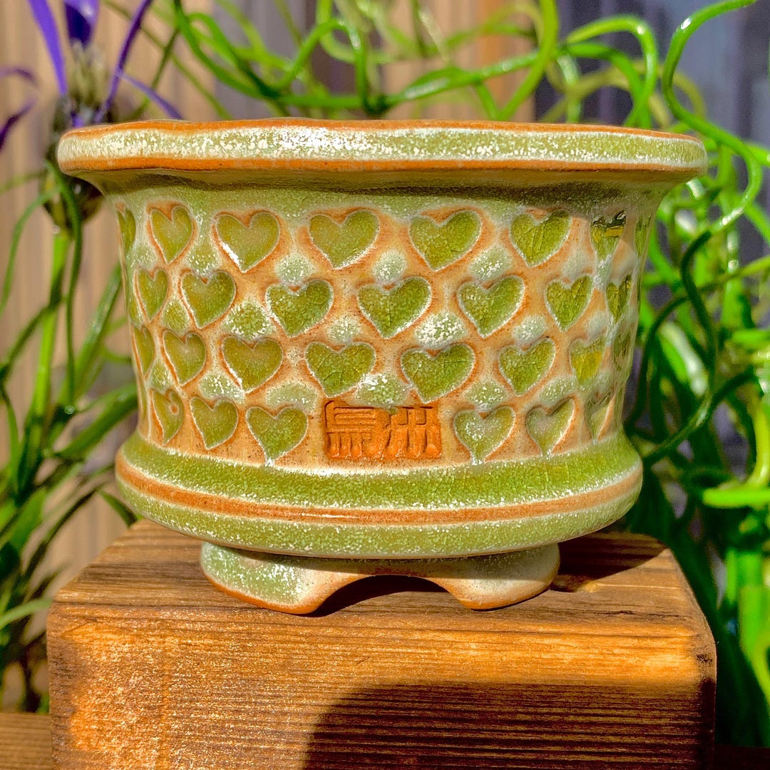乌卅WASA Professional Succulent Pot/all Hand-drawn Embryo, Hand-carved ...