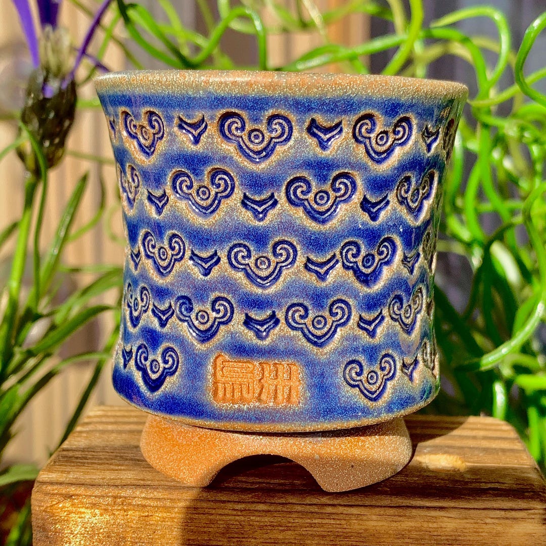 乌卅WASA Professional Succulent Pot/all Hand-drawn Embryo, Hand-carved ...