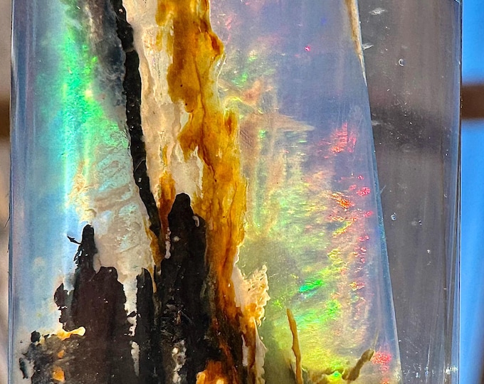 Wow! Virgin Valley Opal Rare! Precious Opal STUNNING 30ct! Two Pieces ...