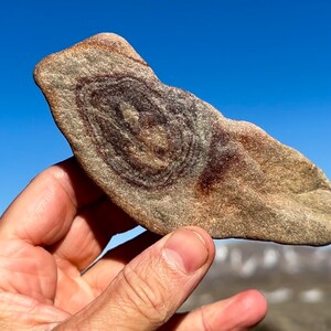 Wonderstone Nevada Rhyolite Rare Stunning Patterns! Best Lapidary ...