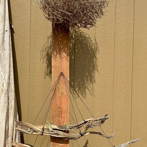 Live Airplants! Hanging Desert Sage Branch Home Decor!! You Choose Size ...