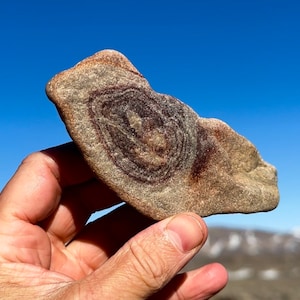 Wonderstone Nevada Rhyolite Rare Stunning Patterns! Best Lapidary ...