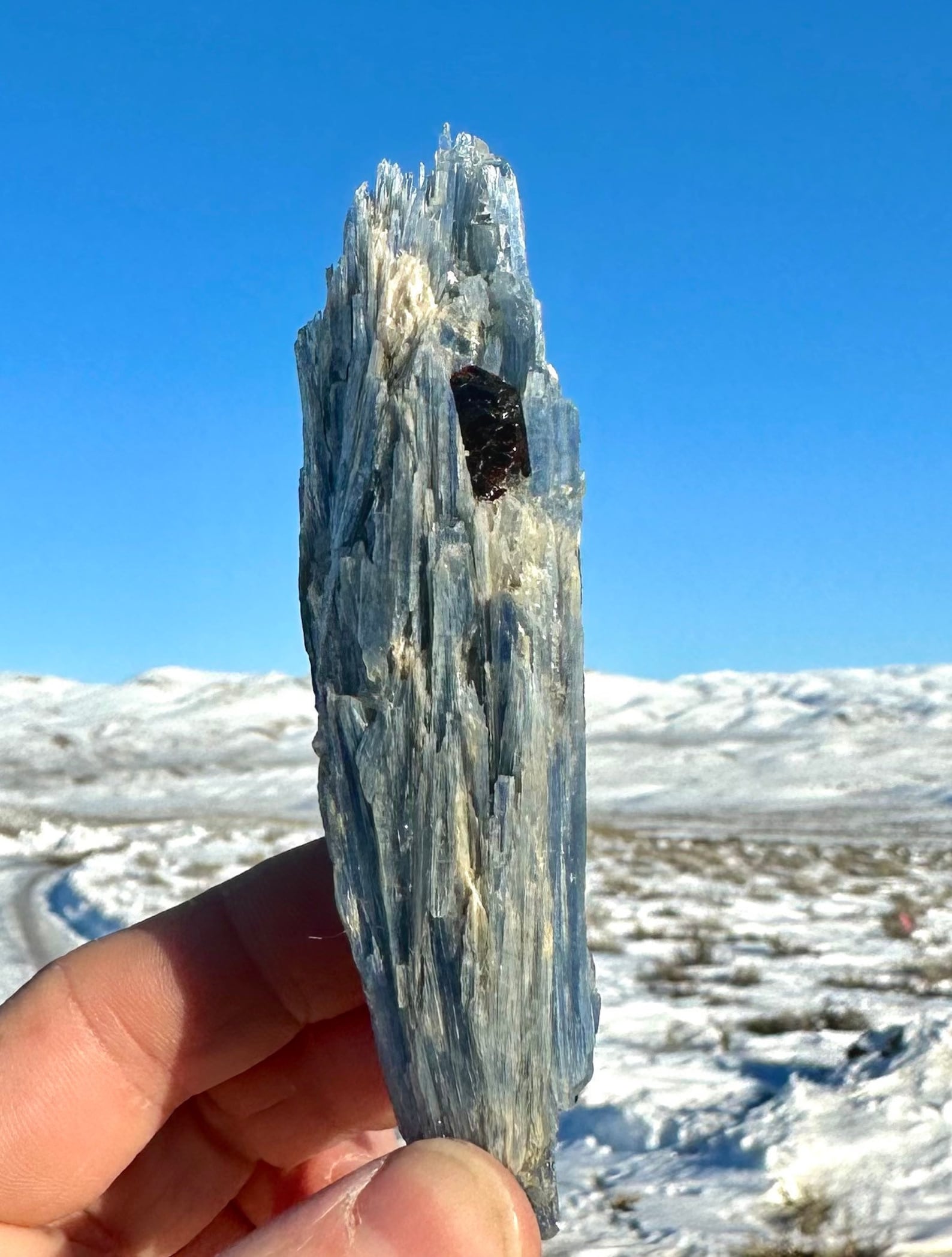 Icy Blue Kyanite With RARE Garnet!! Quartz Veins Extremely Rare ...