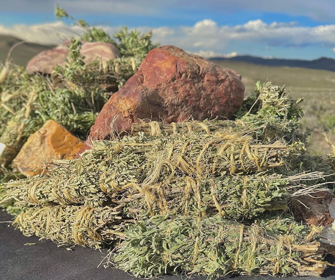 Fresh Sage Desert Sage 20 Large Bundles Over 1lb Bulk! Magic Sage ...