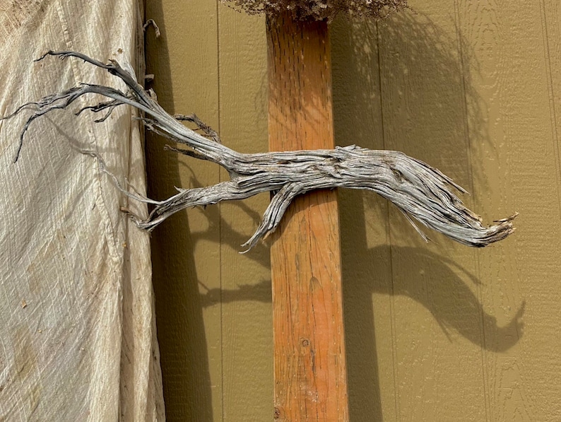 Desert Sage Branches!! 5pc 16”+ Western Decor Desert Driftwood Dry Sage ...