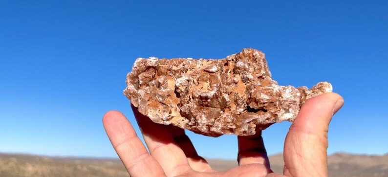 Desert Gypsum Crystal!large Very Rare Display Multi Gypsum Crystals ...