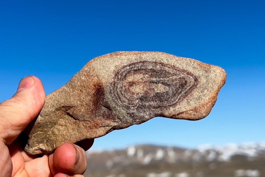 Wonderstone Nevada Rhyolite Rare Stunning Patterns! Best Lapidary ...