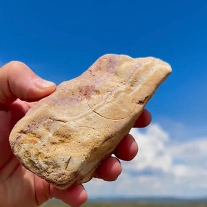 Pastel Colors Wonderstone Wow! Nevada Rhyolite Wonderstone! Best ...