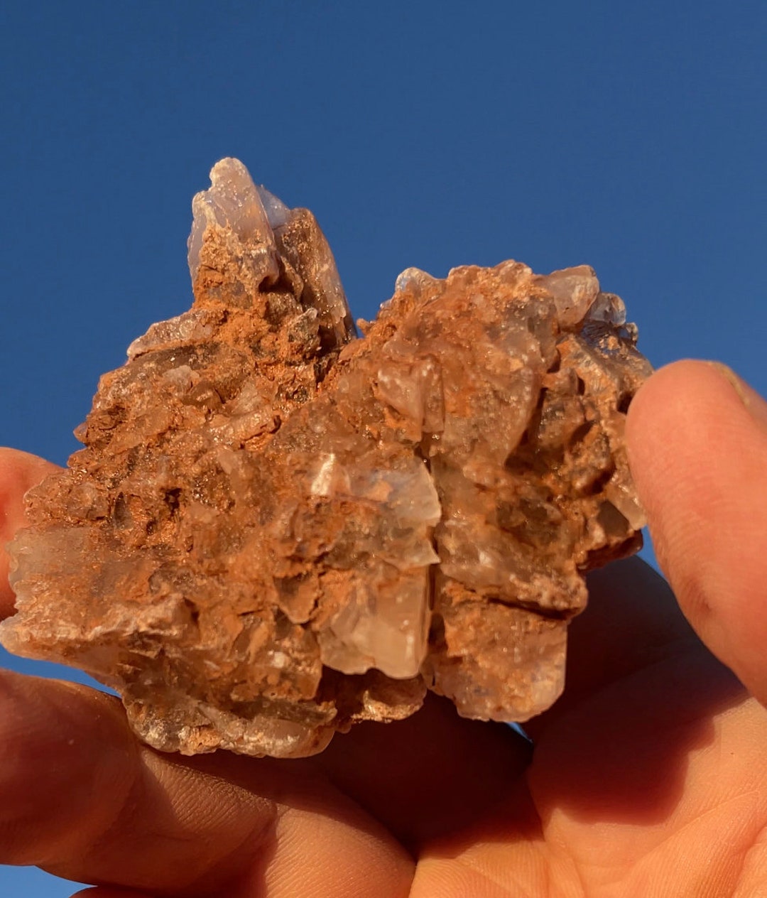 Complete Gypsum Desert Crystal Cluster Medium Size Museum Quality ...