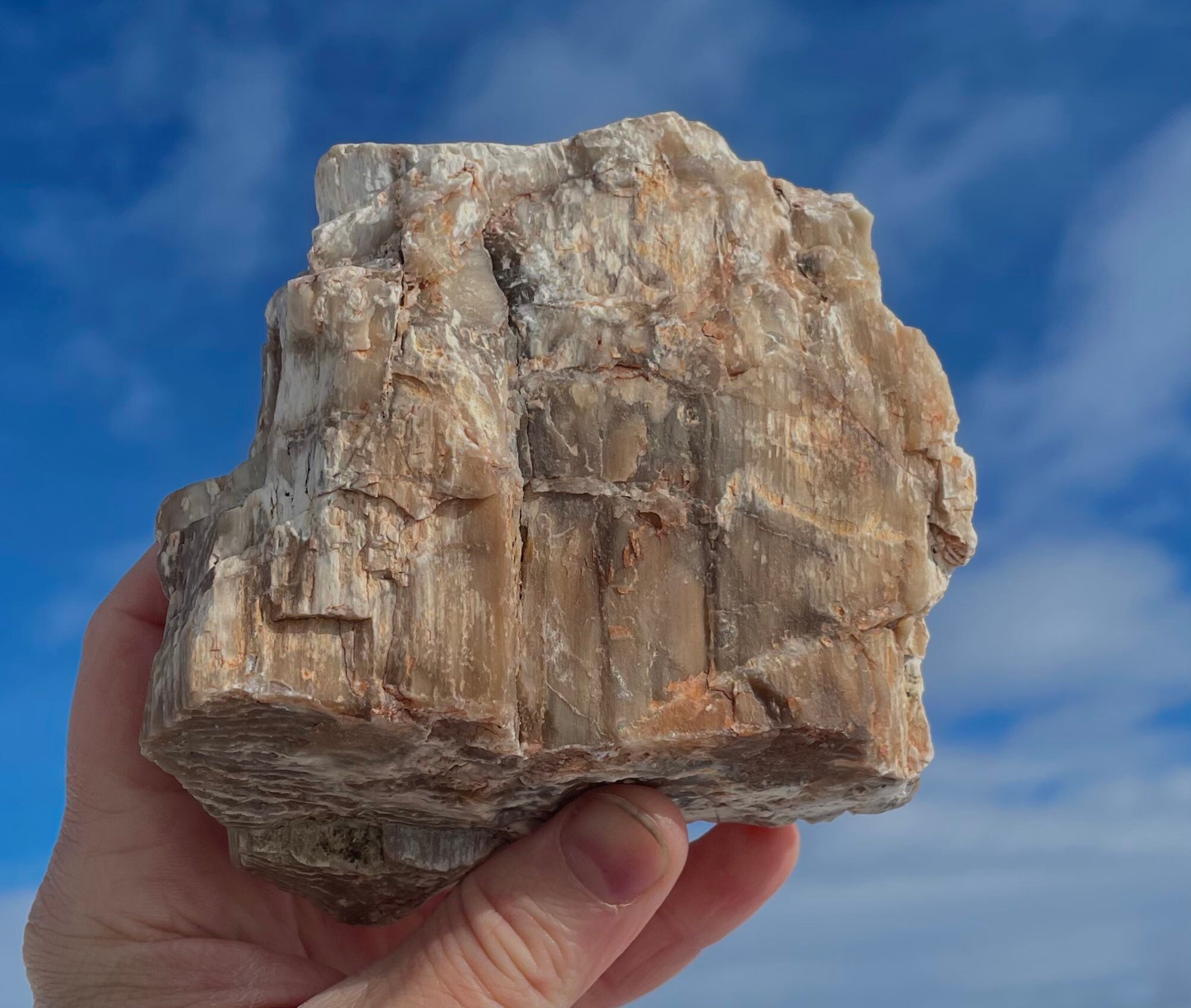 WOW 1.7lbs BEST Large Pink Petrified Wood Opal Bark - Etsy