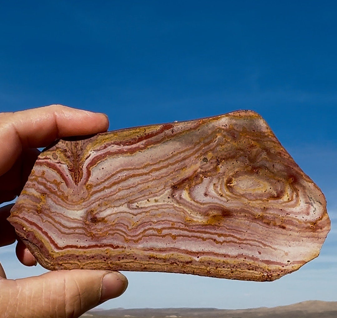 Wonderstone Rhyolite Slab! Wow Complete!! Nevada Rhyolite Slabbed Face ...