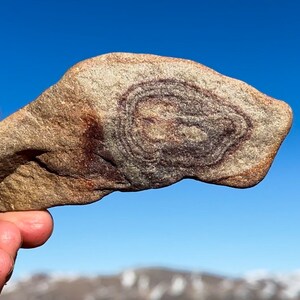 Wonderstone Nevada Rhyolite Rare Stunning Patterns! Best Lapidary ...