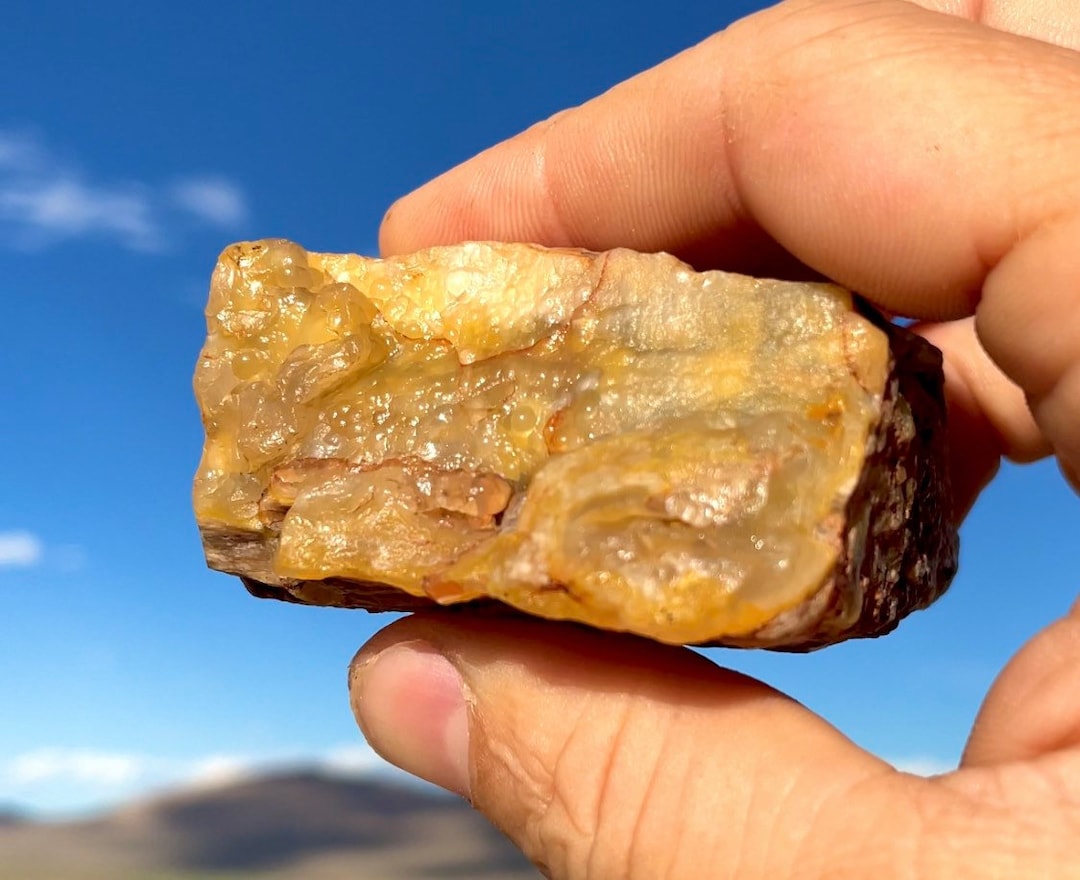 Tree Sap Petrified Wood Chalcedony Opal Petrified Opalized - Etsy