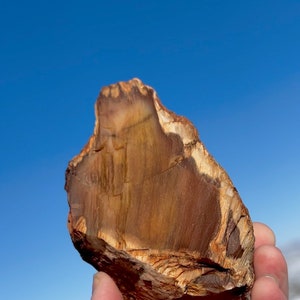 Large! Stunning Patterns!! Petrified Wood Quartz Druzy Crystal Covered ...