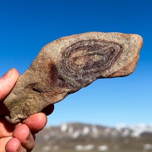 Wonderstone Nevada Rhyolite Rare Stunning Patterns! Best Lapidary ...