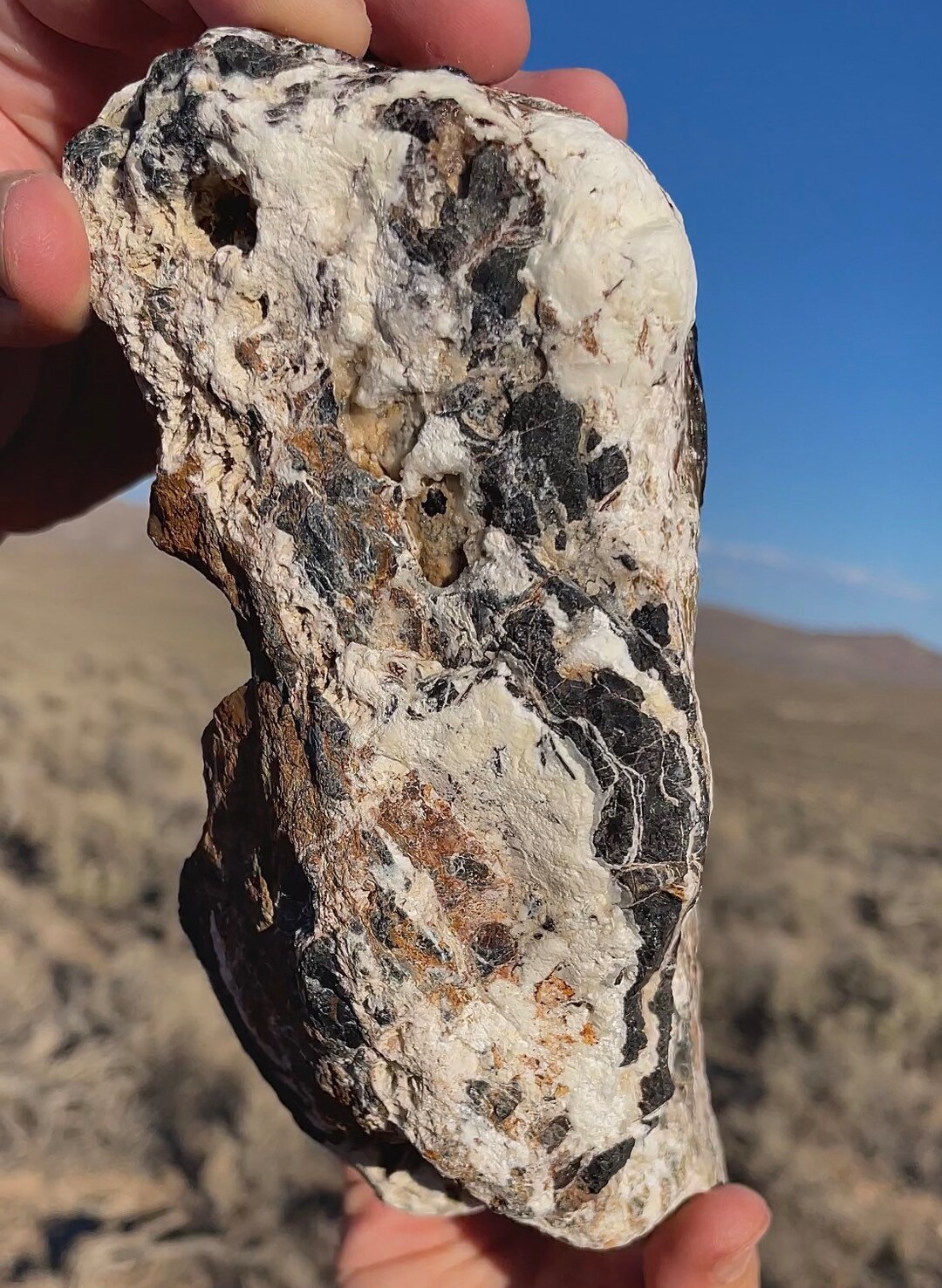 Massive White Buffalo Turquoise Dolomite Geode AAA Gem Quality Crystal ...