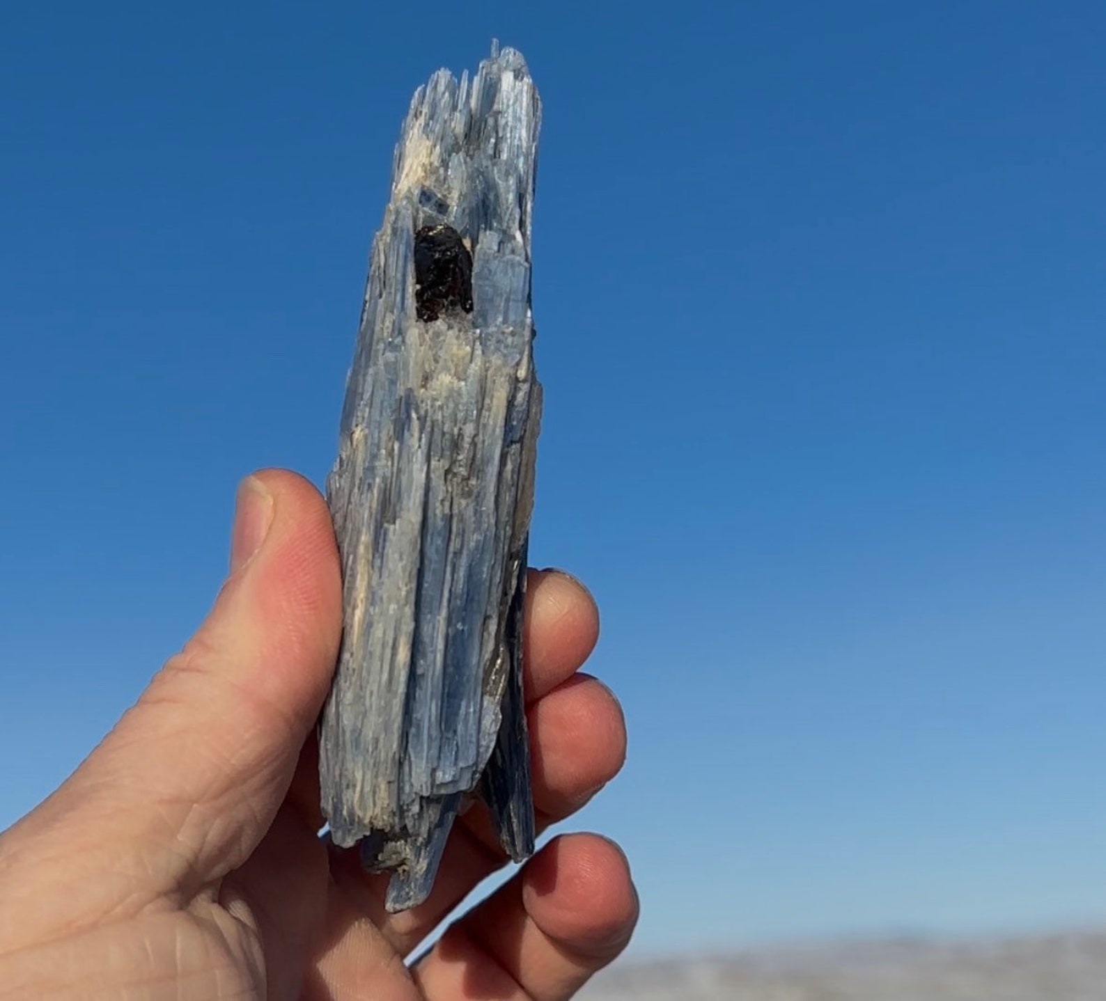 Icy Blue Kyanite With RARE Garnet!! Quartz Veins Extremely Rare ...