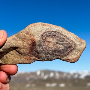 Wonderstone Nevada Rhyolite Rare Stunning Patterns! Best Lapidary ...