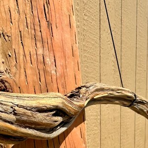 Desert Sage Branches!! 5pc 16”+ Western Decor Desert Driftwood Dry Sage ...